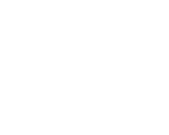 Gemvision